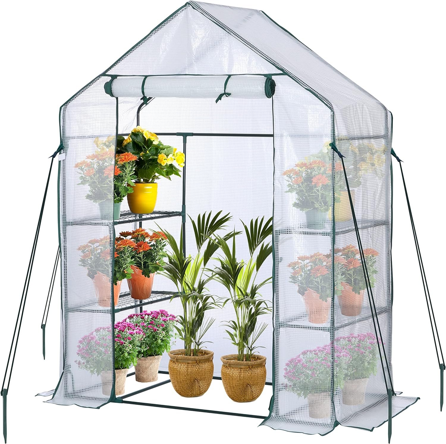 JUNGLE STONE Walk In Greenhouse Review - Gardeners Guide Hub