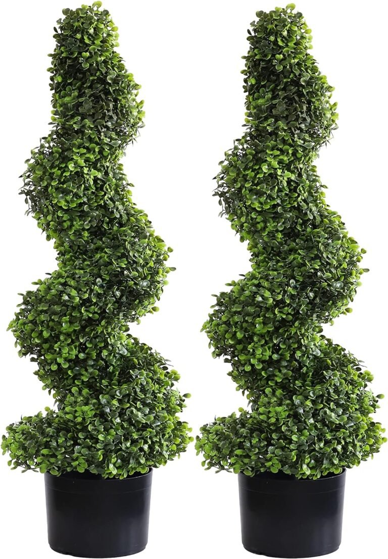 Outdoor Trees - Gardeners Guide Hub