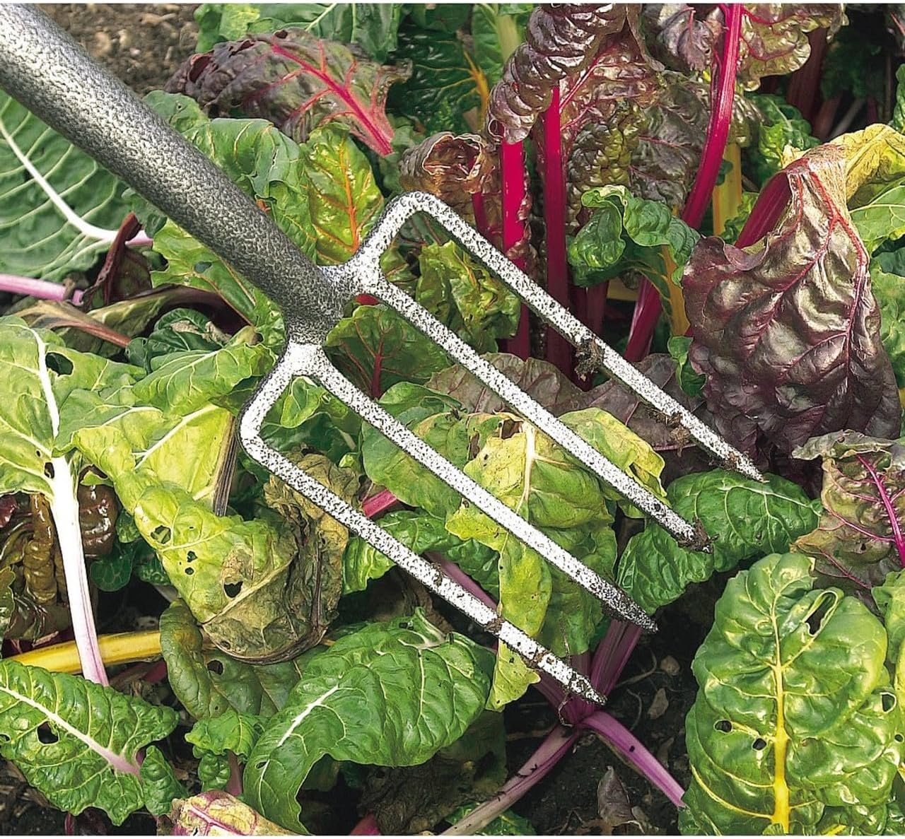 Draper Carbon Steel Garden Border Fork Review - Gardeners Guide Hub
